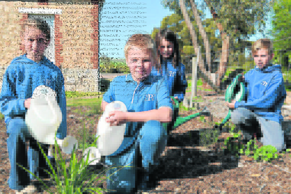 Pictures of Mark Fauser, Picture #211341 - Pictures Of Celebrities