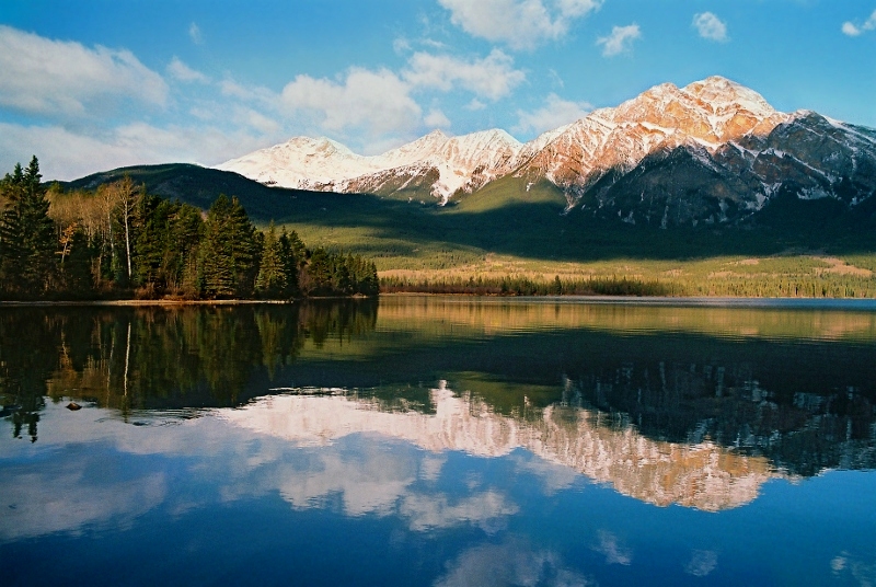 Pictures of Patricia Lake - Pictures Of Celebrities