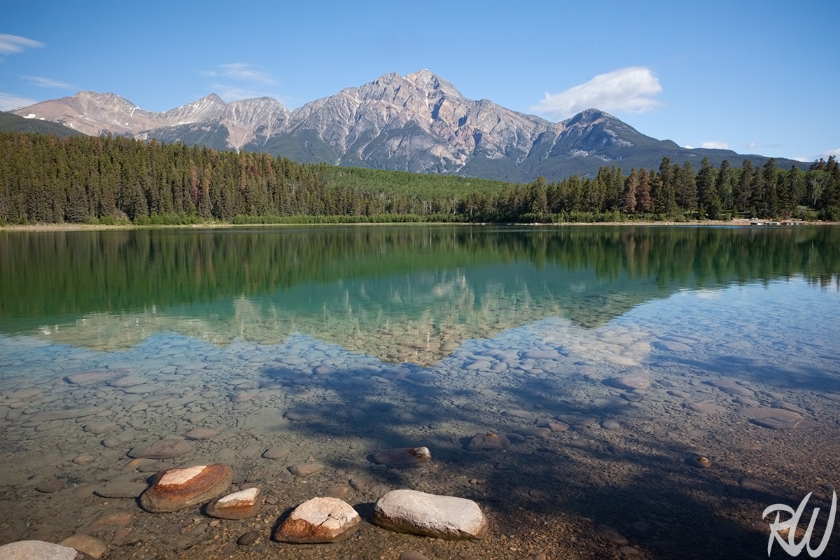 Pictures of Patricia Lake - Pictures Of Celebrities