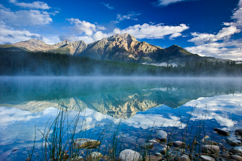 Pictures of Patricia Lake - Pictures Of Celebrities