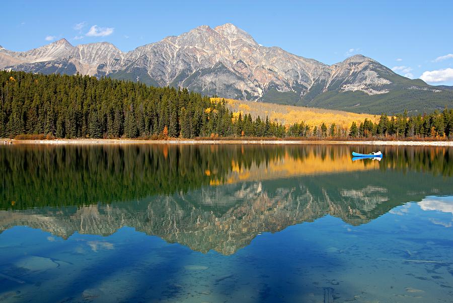 Pictures of Patricia Lake - Pictures Of Celebrities