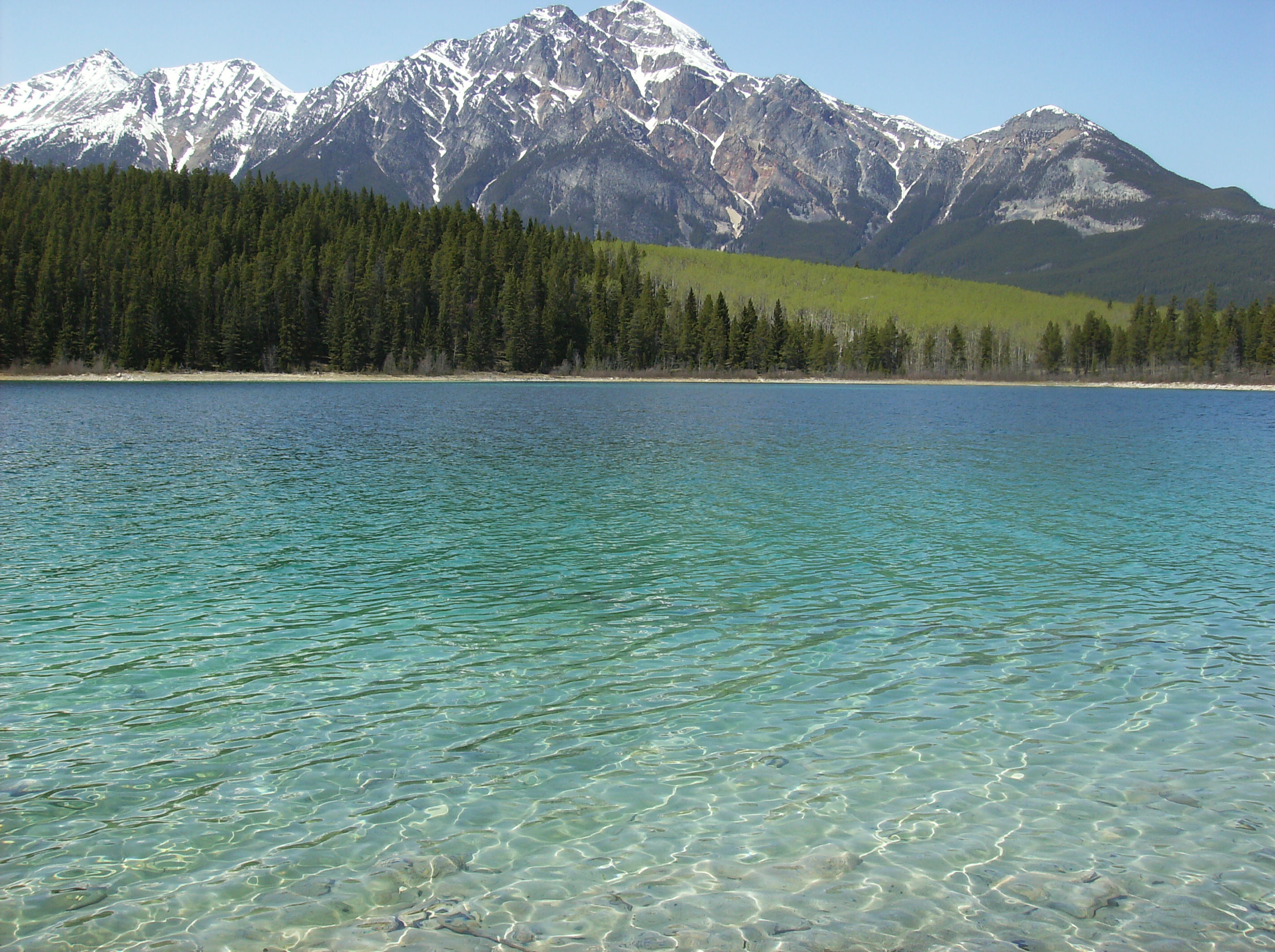 Pictures of Patricia Lake - Pictures Of Celebrities