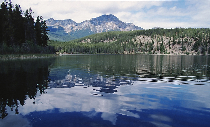 Pictures of Patricia Lake - Pictures Of Celebrities