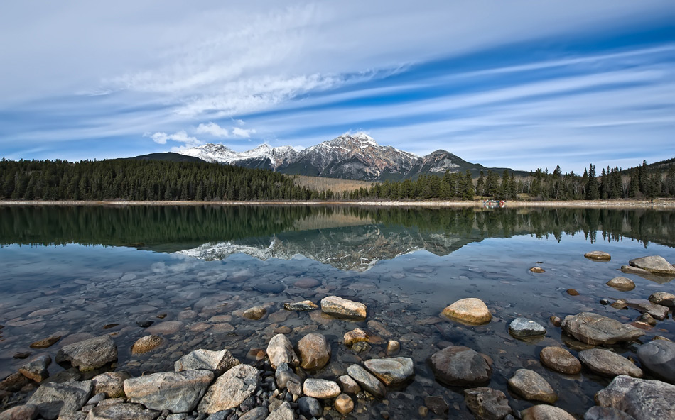 Pictures of Patricia Lake - Pictures Of Celebrities