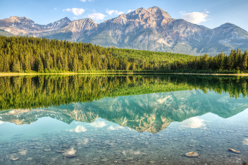 Pictures of Patricia Lake - Pictures Of Celebrities