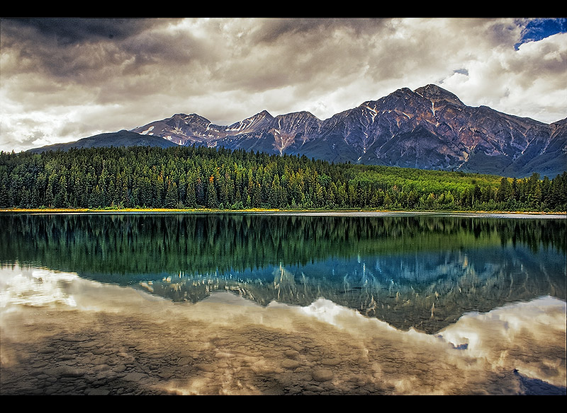 Pictures of Patricia Lake - Pictures Of Celebrities