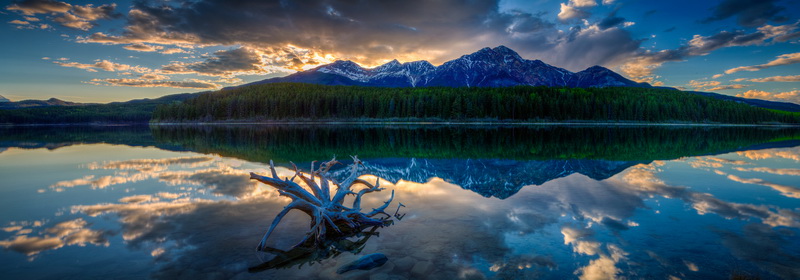 Pictures of Patricia Lake - Pictures Of Celebrities