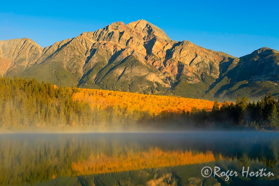 Pictures of Patricia Lake - Pictures Of Celebrities