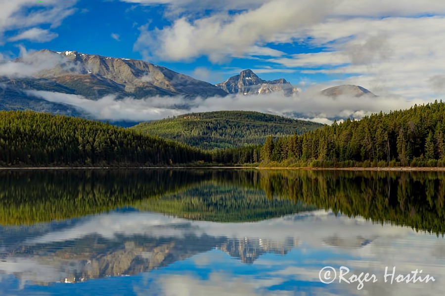 Pictures of Patricia Lake - Pictures Of Celebrities