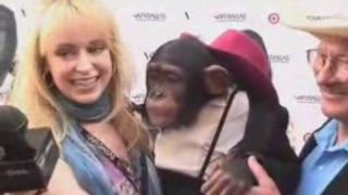 Pictures of Robyn Bliley, Picture #15836 - Pictures Of Celebrities